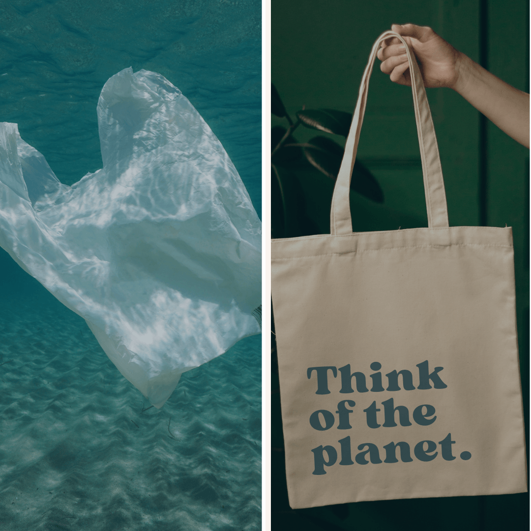 Swap Plastic, Save the Planet: Effortless Tips - Phox Water