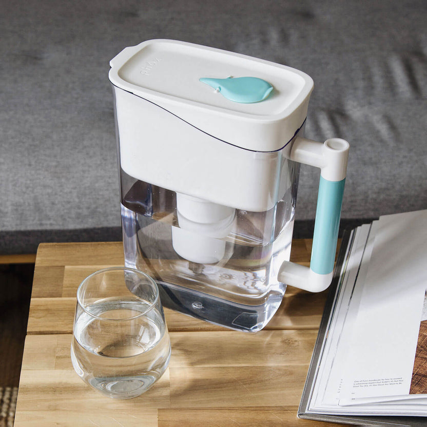 Phox Water Filter Instructions | Set Up & Maintenance...